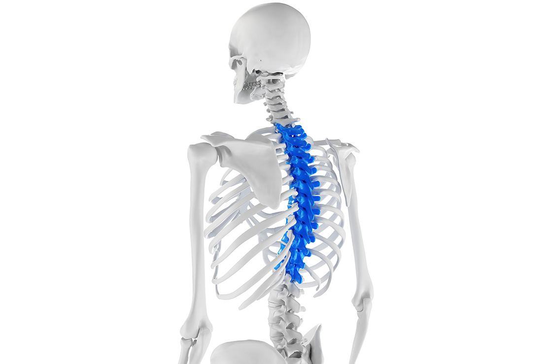 Omurga Cerrahisinde Torakoskop Kullanımı – Prof. Dr. Erkan Kaptanoğlu